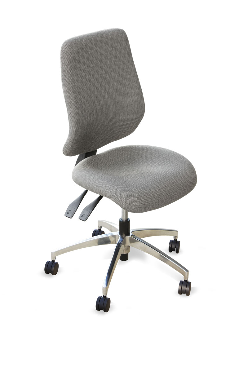 Gregory Project W Ergonomic Task Chair